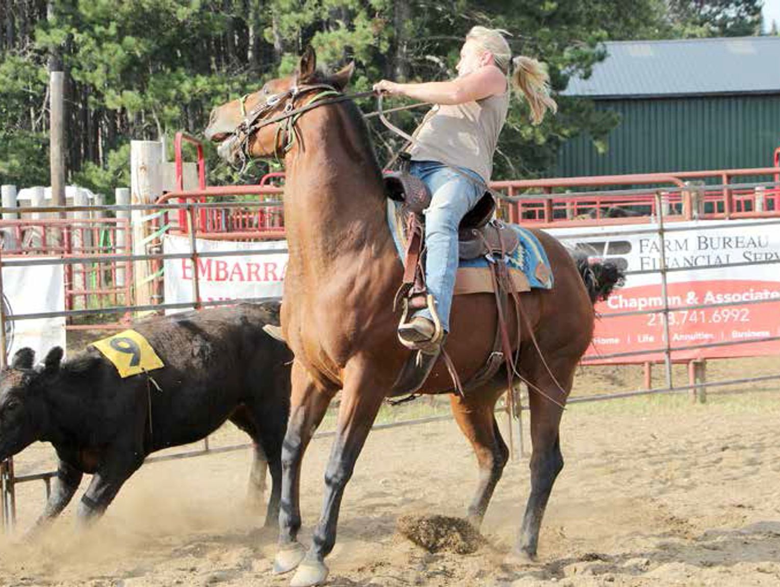 Embarrass Fair starts