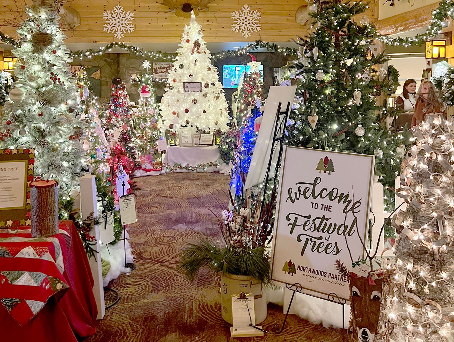 Festival of Trees starts on Sunday