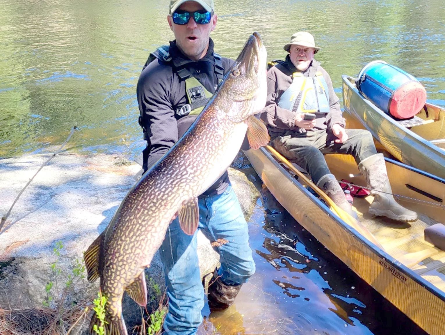 Huge pike caught in Boundary Waters would have broken Minnesota’s state ...