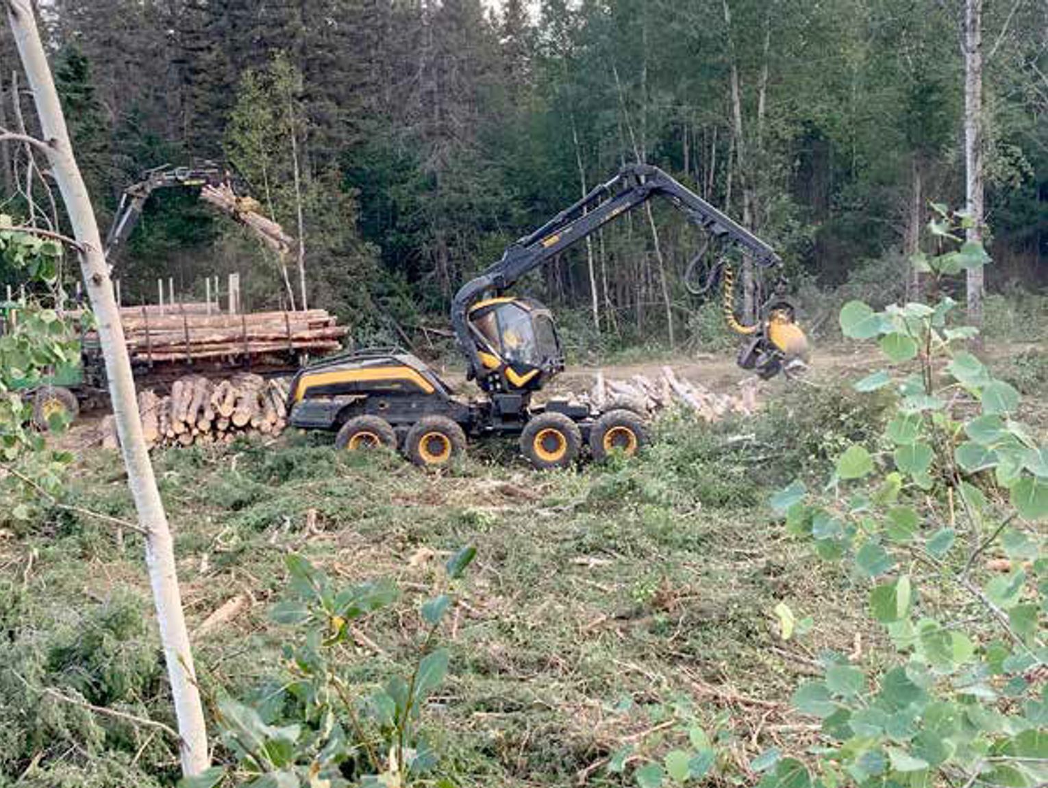 Objection to Forest Service prescribed burn proposal cites need for new ...