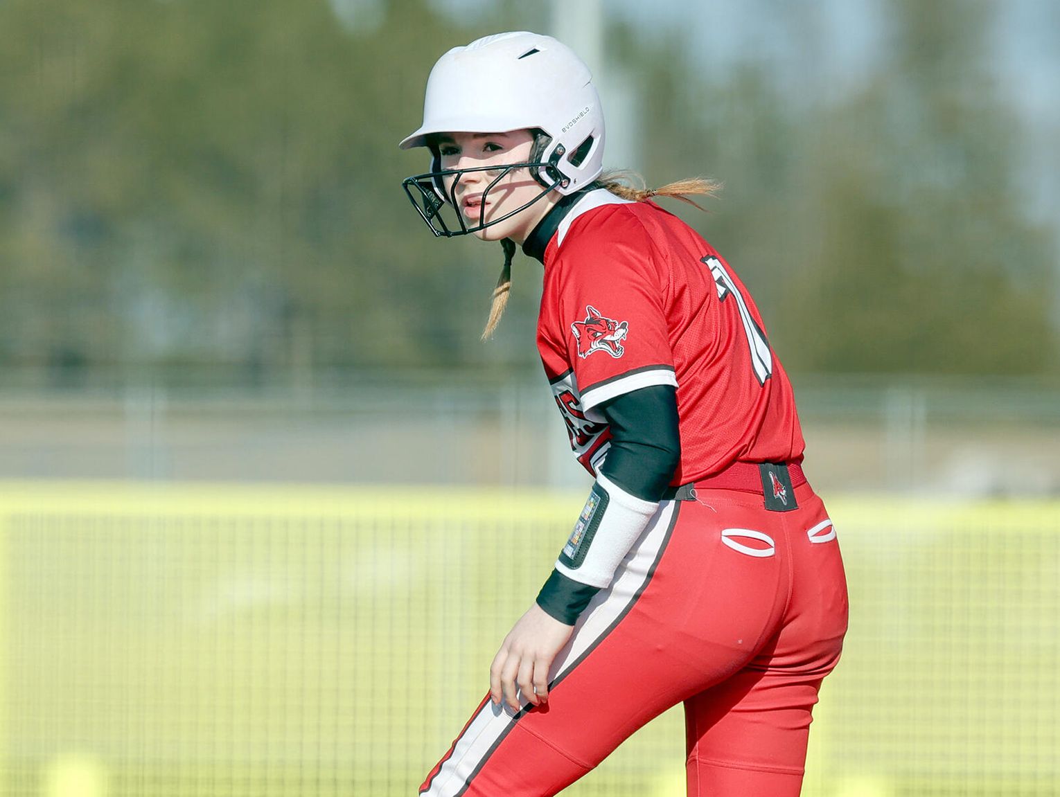 Softball Wolves even record