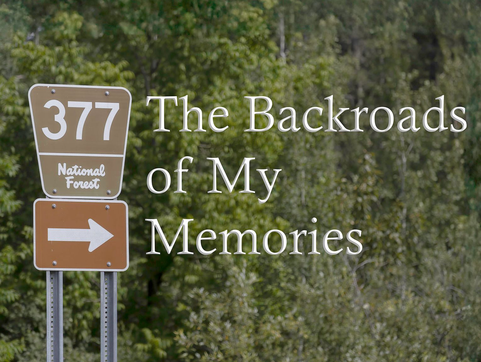 The Backroads of My Memories: Introduction