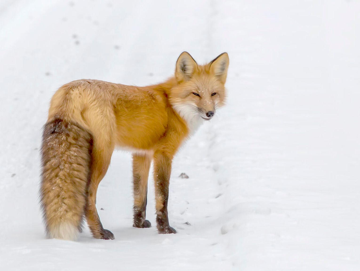 This week’s Minnesota DNR Conservation Officer reports