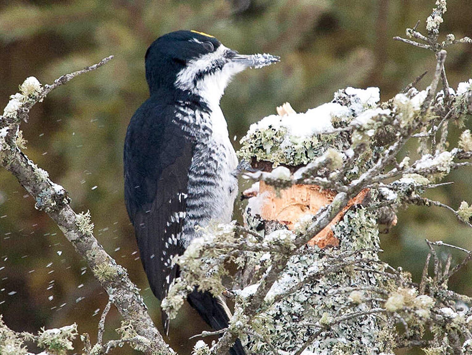 This week’s Minnesota DNR Conservation Officer reports