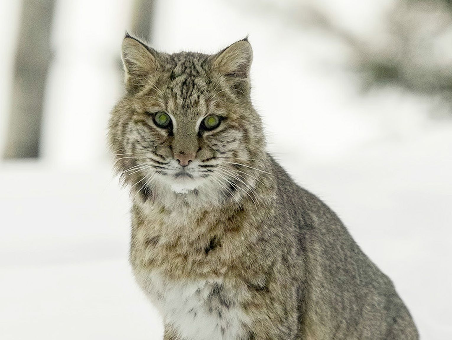 This week’s Minnesota DNR Conservation Officer reports