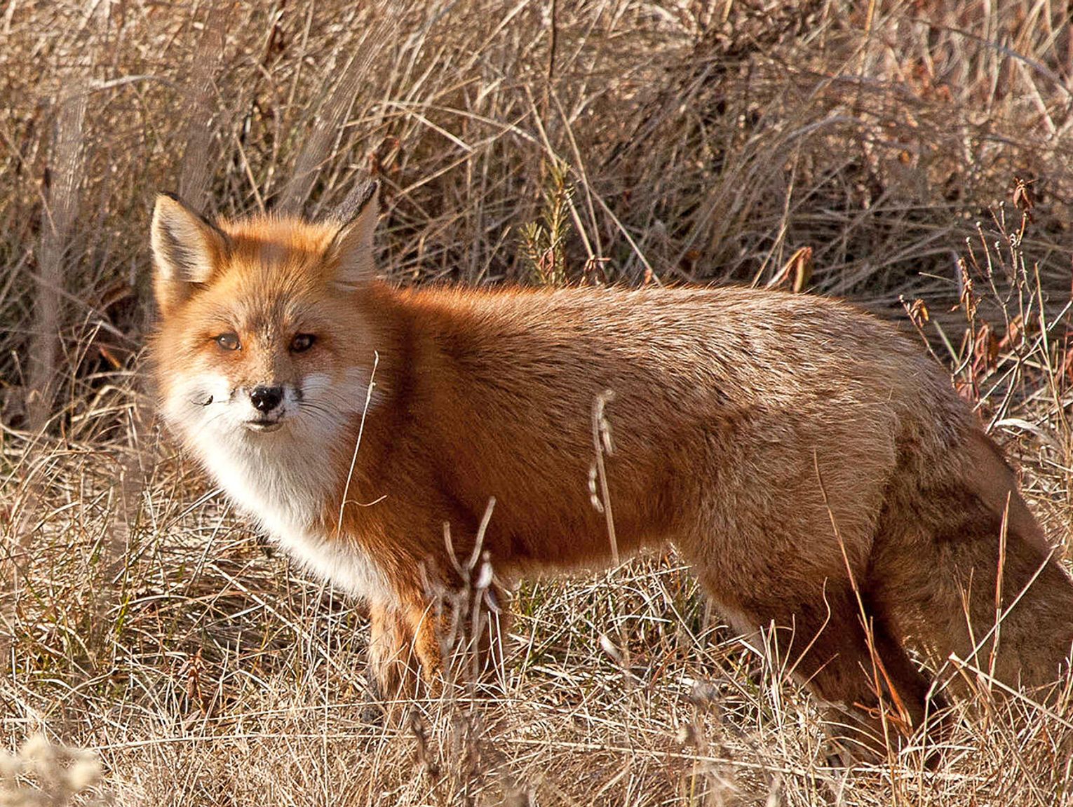 This week’s Minnesota DNR Conservation Officer reports