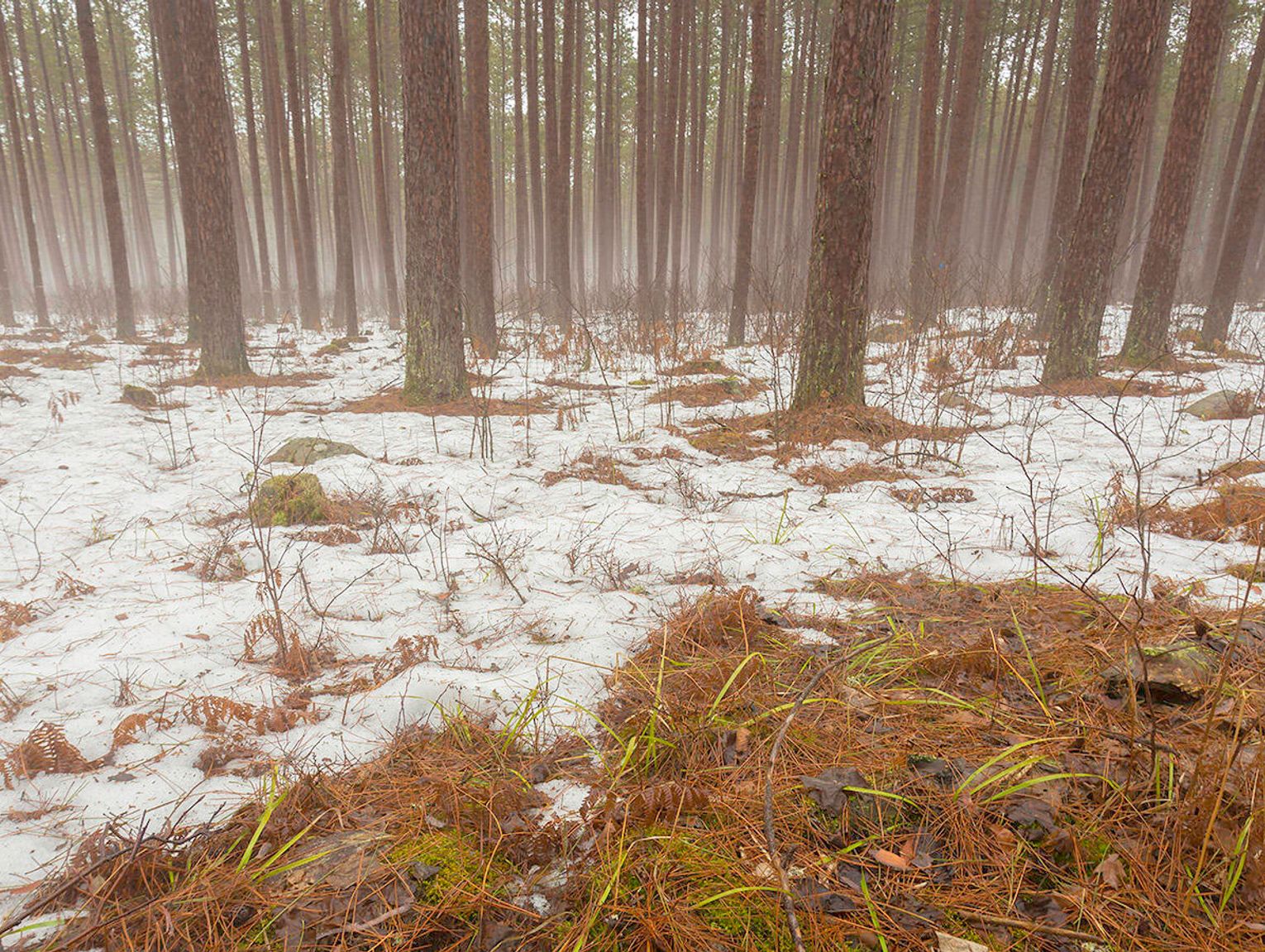 This week’s Minnesota DNR Conservation Officer reports