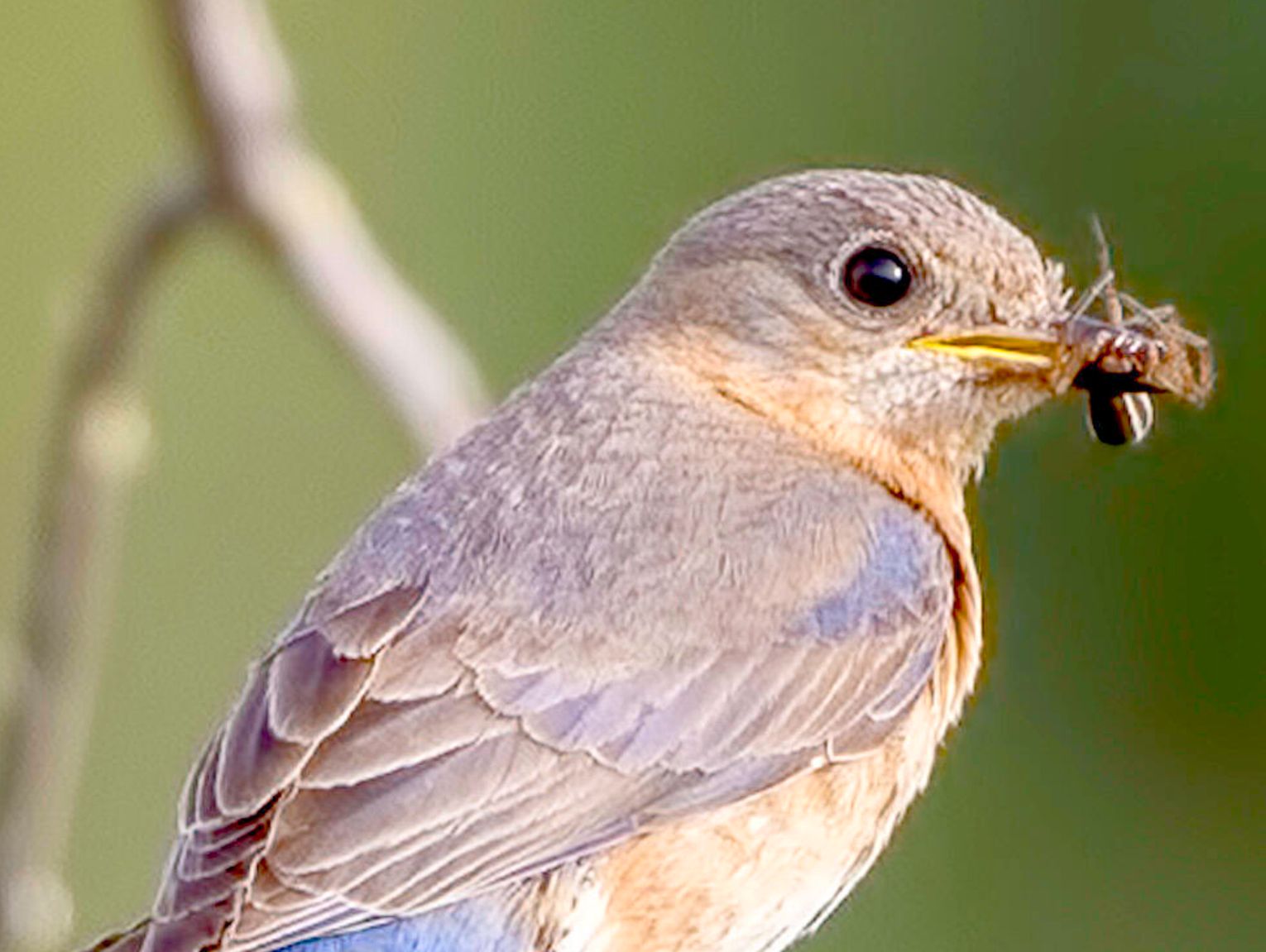 This week’s Minnesota DNR Conservation Officer reports