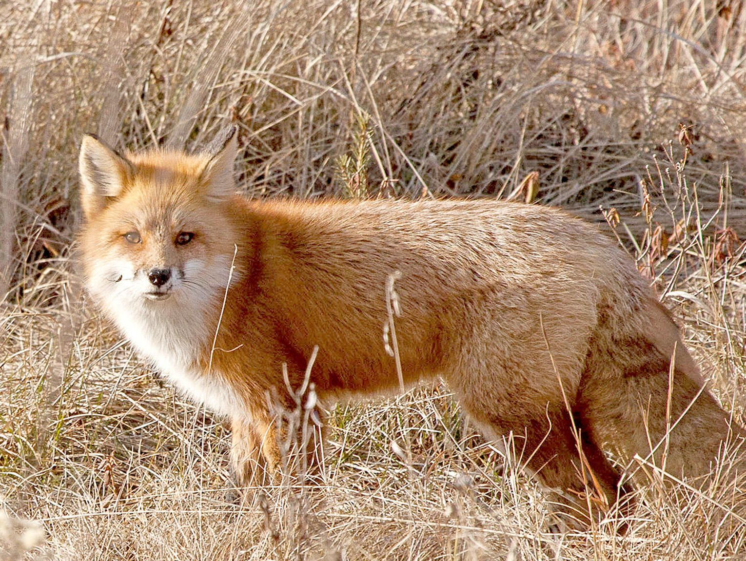 This week’s Minnesota DNR Conservation Officer reports