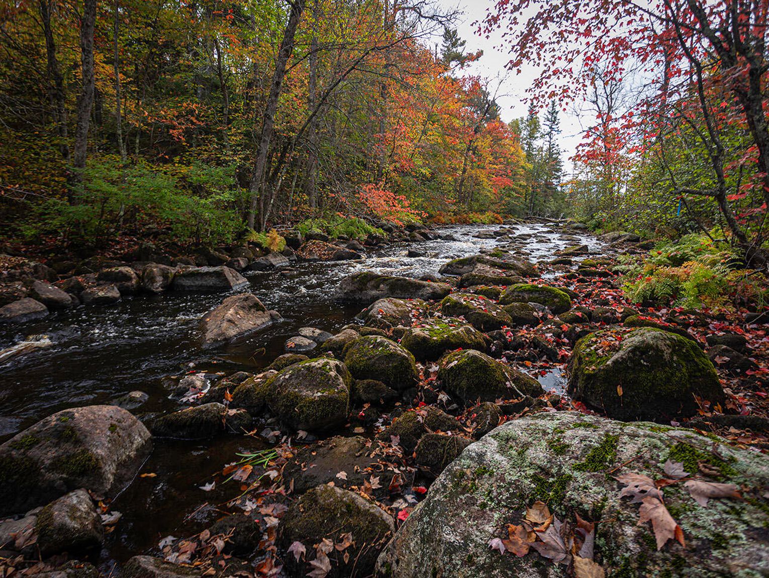 This week’s Minnesota DNR Conservation Officer reports