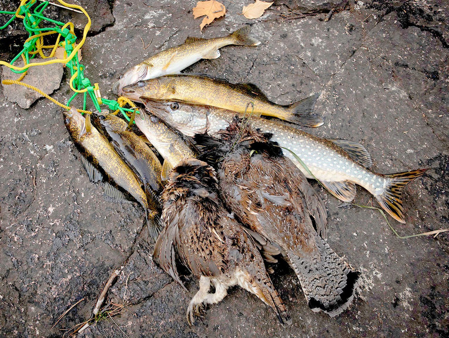 This week’s Minnesota DNR Conservation Officer reports