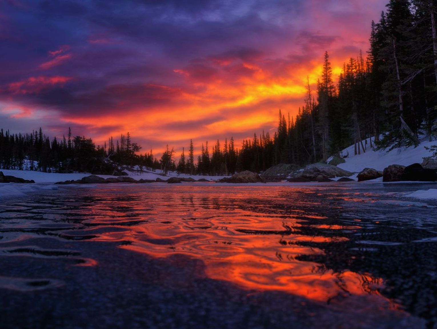Trout Whisperer - Longing for a long day