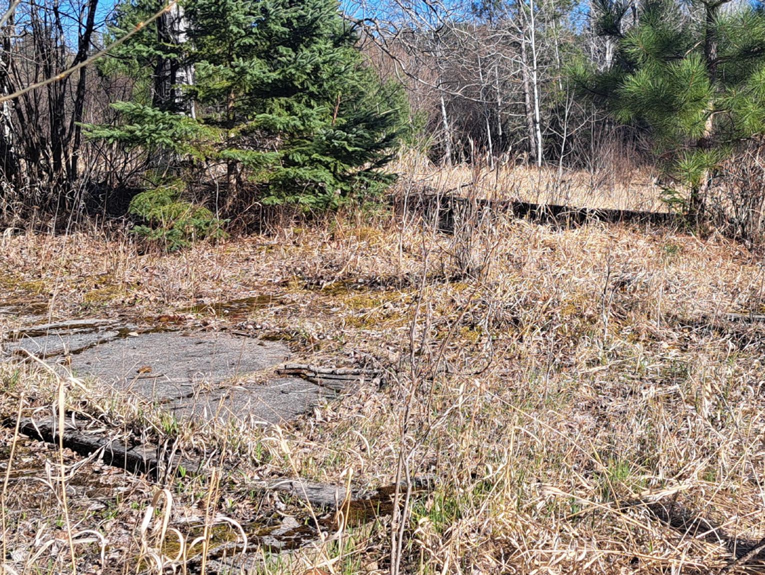 Window into Yesterday - Holy Cow!